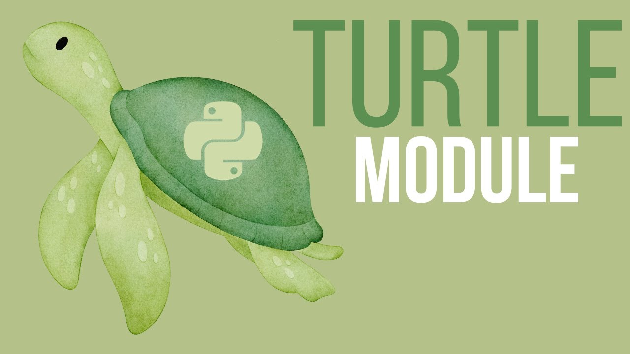 How To Use Turtle Module | Python Tutorial for Turtle Import