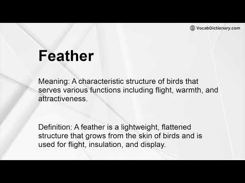 Feather Meaning