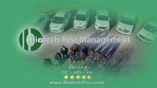 3 Best Pest Control Companies in Washington, DC - Expert Recommendations