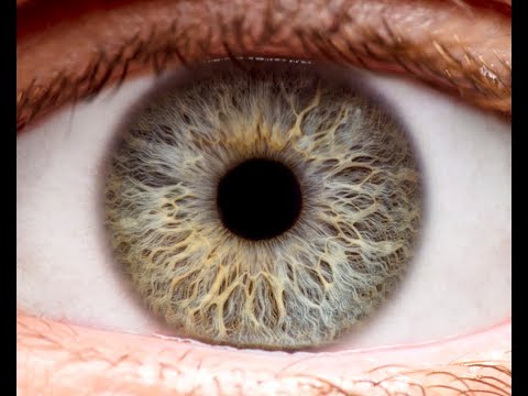A device for the early detection of eyesight problems