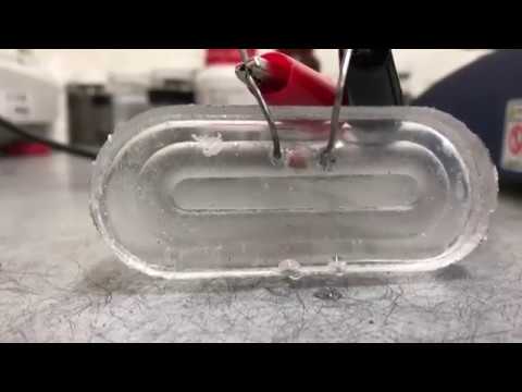 vertical marangoni flow