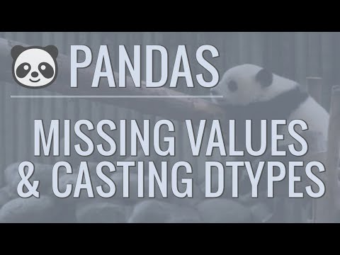 Learn Python Pandas Tutorial Part 9 Cleaning Data Casting Datatypes and Handling Missing Values ...