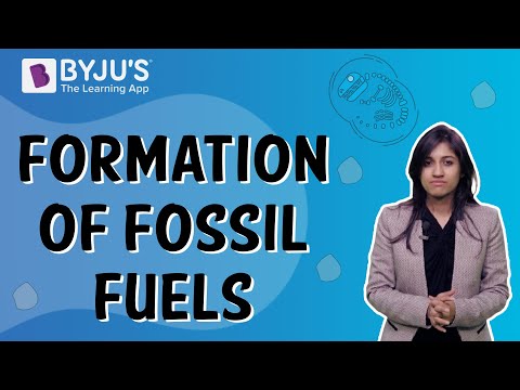 How Are Fossil Fuels Formed? | Class 5 | Learn With BYJU'S
