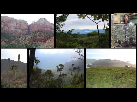 Let's Learn: The Connection of Nature & Wellbeing (4/20/22)