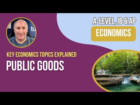Public Goods Explained for A Level & IB Economics
