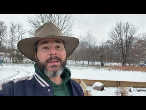 OUTDOOR TORTOISE *cold frame* WINTER SETUP for Hermann’s, Russian’s and Box Turtles too!