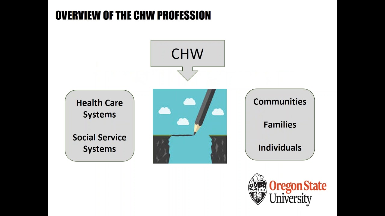 Community Health Worker Program Webinar