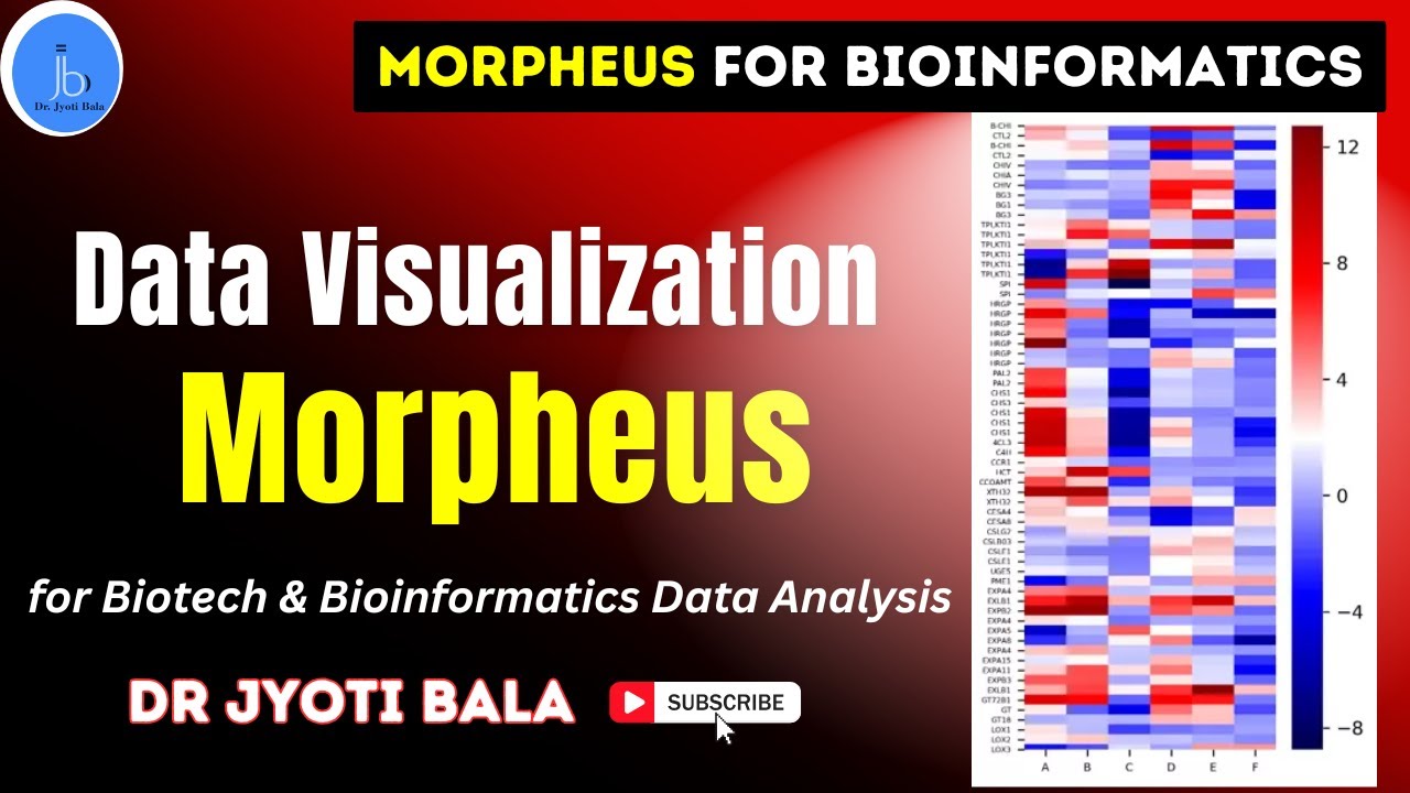 Morpheus: Essential Tool for  Bioinformatics Data Visualization| Visualize Big Data Like a Pro