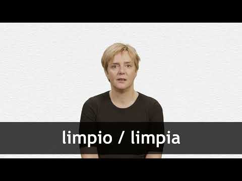 English Translation of “LIMPIO” | Collins Spanish-English Dictionary
