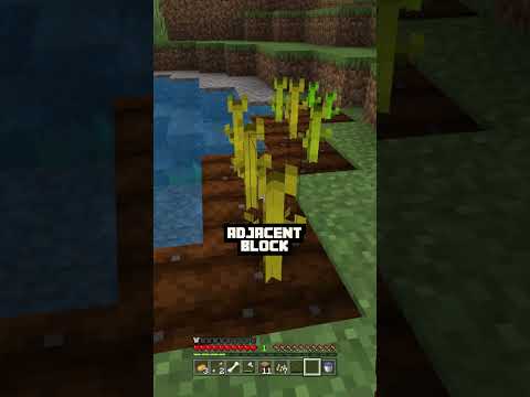 🎃💡Minecraft Pumpkin Farm🌱🌍