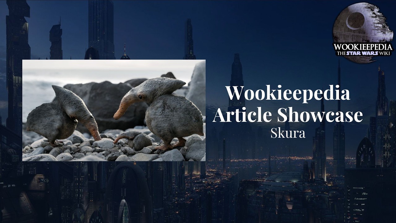 The Showcase - Skura