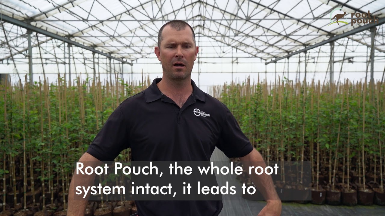 Root Pouch visits J. Frank Schmidt & Son Co. | 100% survival rate on trees