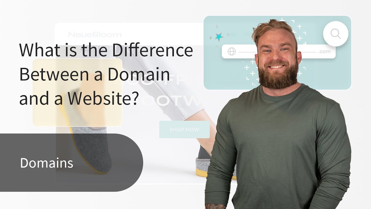 What is the Difference Between a Domain and a Website?
