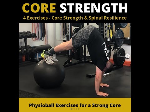 Top 4 Fridays! 4 Physioball Exercises for Strong Core and Lumbar ...