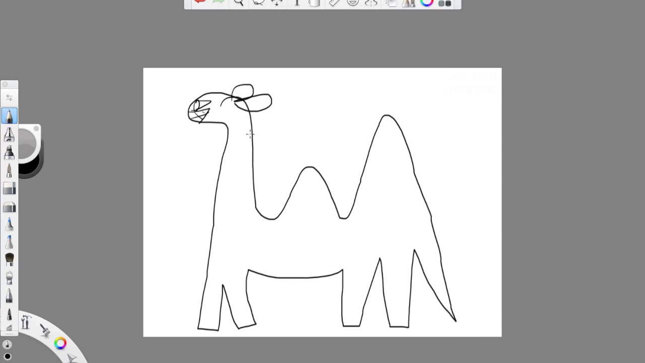 [Core Java] Naming Conventions in Java