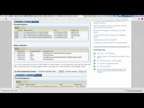 JMS Parameters dynamicParameters RFH pdp