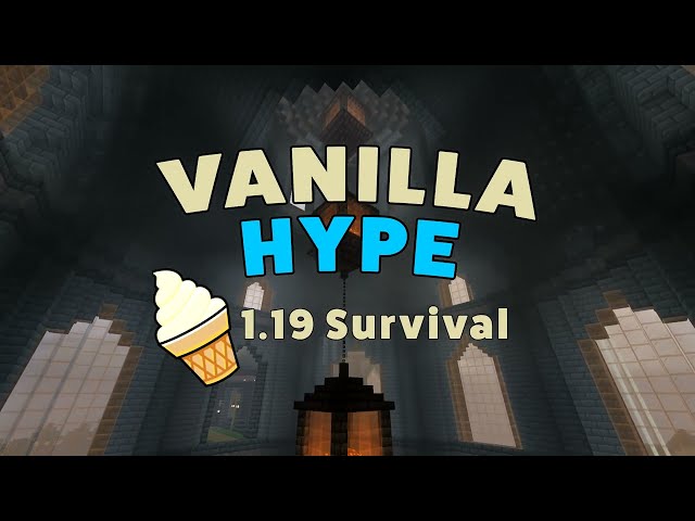 Vanilla Hype Minecraft Server