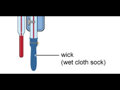 Wet Bulb Temperature Soon to Become Leading Cause of Death | Kevin Hester