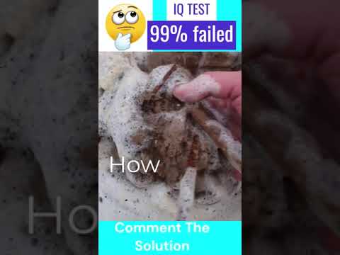 How to find lost rubin jewels? Mystery - Quiz Quizduell #shorts