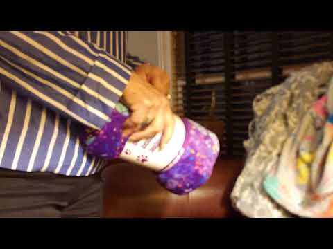 Feed a Pet: Animal Rescue Site Greater Good Store. #unboxing #shelterpets #theanimalrescuesite