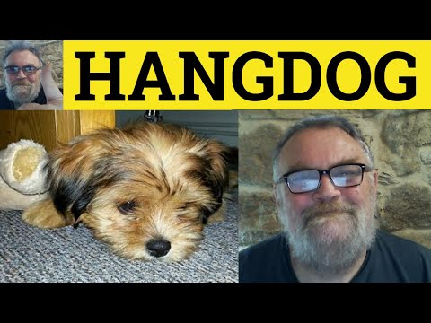 🔵 Hangdog Meaning - Hangdog Examples - Hangdog Definition - Informal - Hangdog