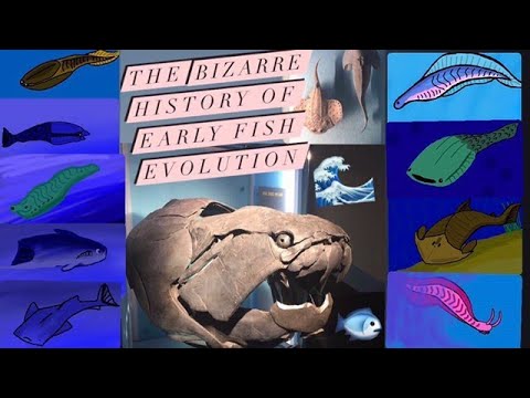 The Bizarre History Of Early Fish Evolution ( A Vancouver Paleontological Society Presentation )