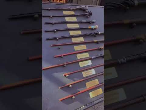They say the Wand 🪄😮chooses you … Harry Potter Wands at Universal Studios Hollywood #harrypotter