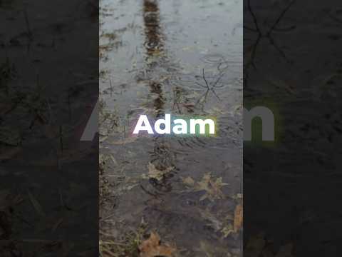 Adam – The Meaning Behind the First Name in History