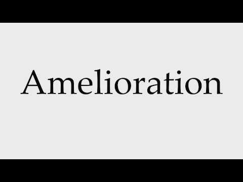 How to Pronounce Amelioration