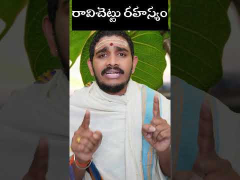 రావిచెట్టు రహస్యం - Worshipping peepal tree #trending #viralvideo #ytshorts #youtubeshorts