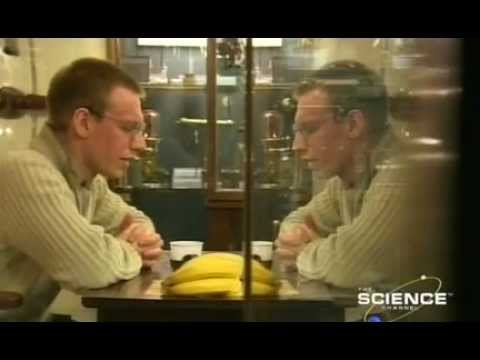 BRAINMAN : Daniel Tammet’s Super Brain | 5election - The International ...