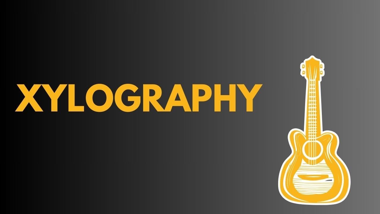What Does xylography   Means || Meanings And Definitions With xylography   in learn    ENGLISH
