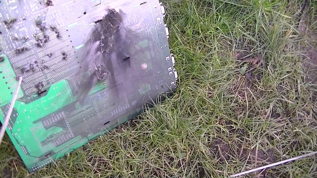 Old IBM Server Motherboard Destroy Fry up