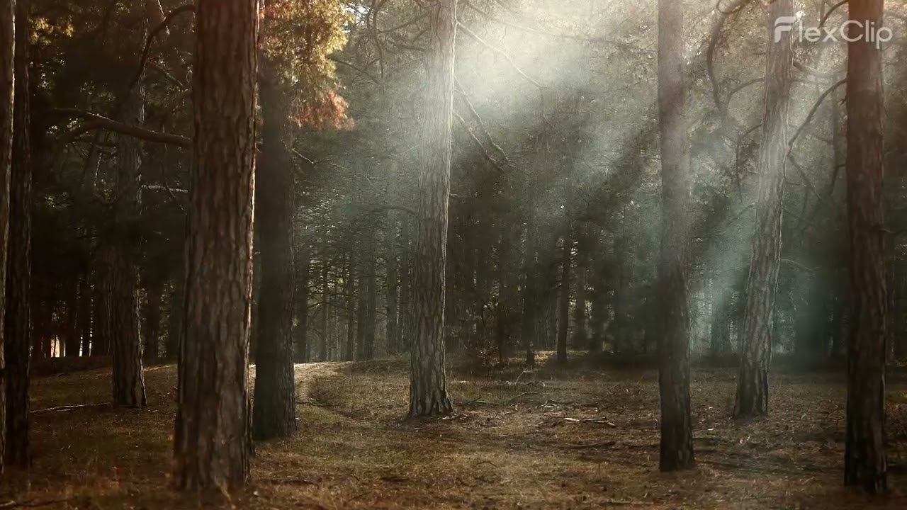 Adam Li - Oaklake Trail