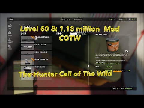 Level 60 and 1.18 million mod