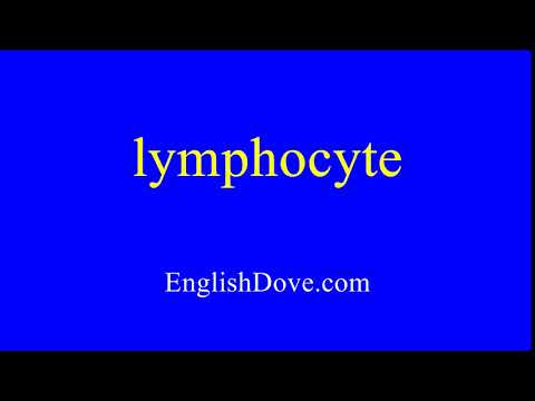 How to pronounce lymphocyte in American English.