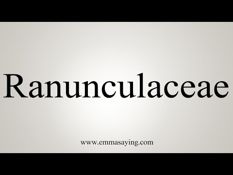 How To Say Ranunculaceae