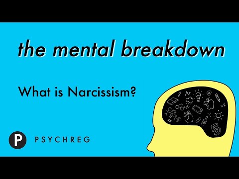 What is Narcissism?