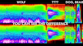 Bone Chilling Howl! - Strange Noise Caught on Video - Weird Darkness