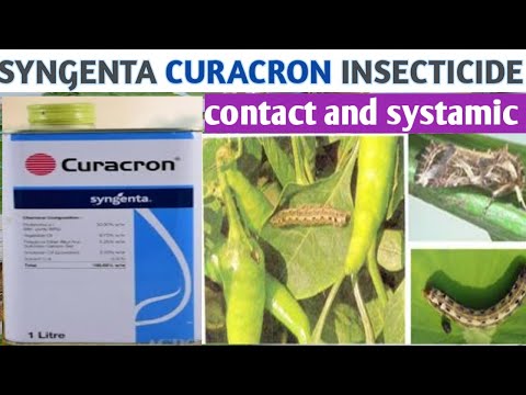 Syngenta Insecticide - Latest Price, Dealers & Retailers in India