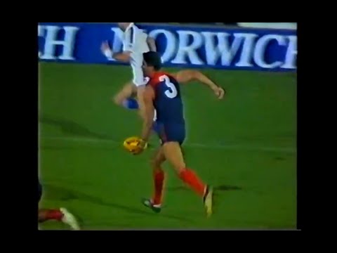 Garry Lyon - Foster's Cup - Melbourne v Richmond - 1991 News Report - Melbourne Demons - AFL