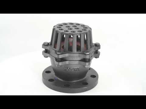 Cast Iron Foot Valve - CI Foot Valve Latest Price, Manufacturers ...
