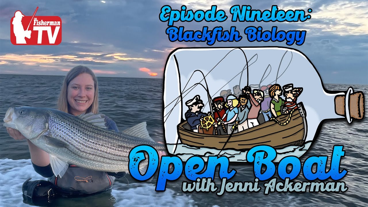 Blackfish Biology