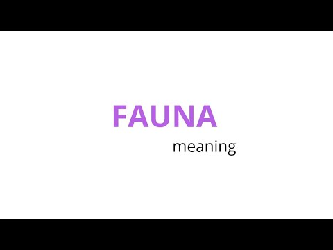 FAUNA/meaning