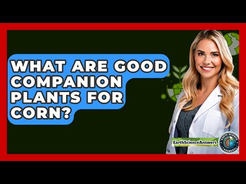 What Are Good Companion Plants For Corn? - Earth Science Answers