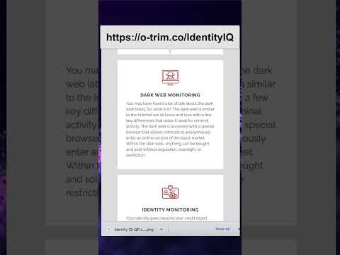 IdentityIQ Review 1