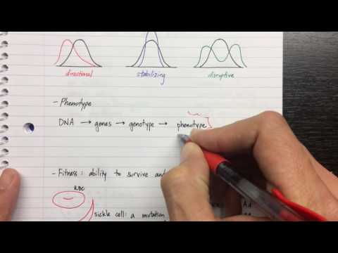 Video 1.2 Examples of Natural Selection