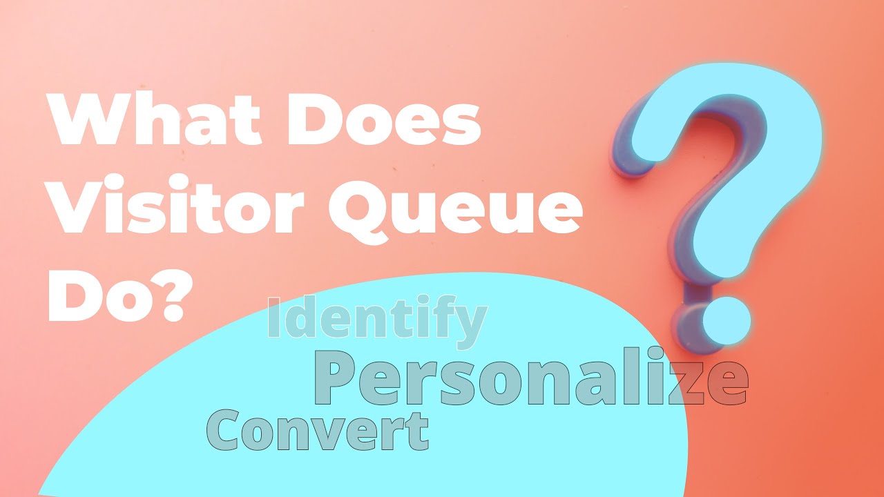 What Does Visitor Queue Do?