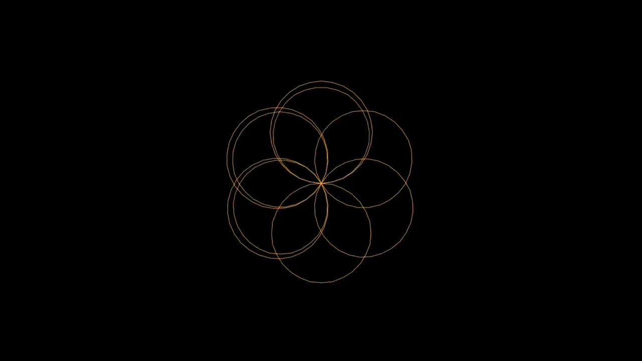 draw flower 🏵️ using python| python turtle graphic #python #pythonturtle  @technicalworld9135