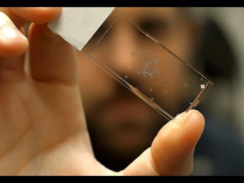 Kipnis Research Lab: How Collaboration Played a Role in Major Discovery
